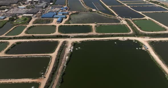 Aerial view of vast Fish farm pools., Stock Footage | VideoHive
