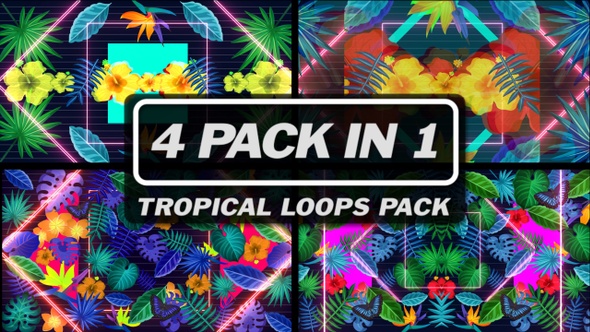 Tropical Pop Color, Motion Graphics | VideoHive