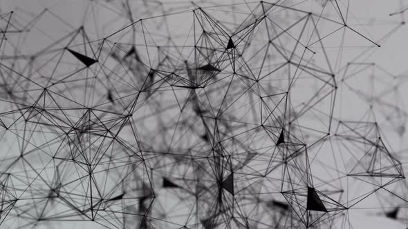 Black Plexus Web, Motion Graphics | VideoHive