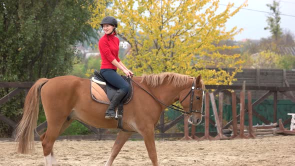 Young Happy Woman Riding a Horse, Stock Footage | VideoHive