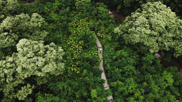 Drone top-down view of park trail on Maui, overhead aerial shot, Hawaii ...