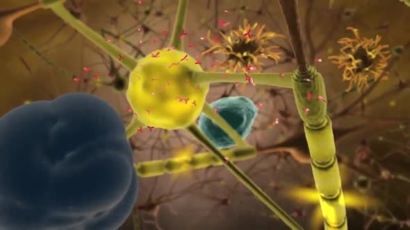 The human nervous system is destroyed. 3D Medical Animation., Motion ...