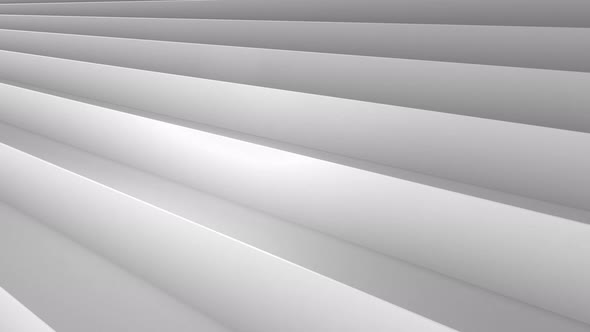 White Background, Motion Graphics | VideoHive