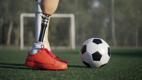 Side View Artificial Limbs and Soccer Ball on Green Grass Outdoors on ...