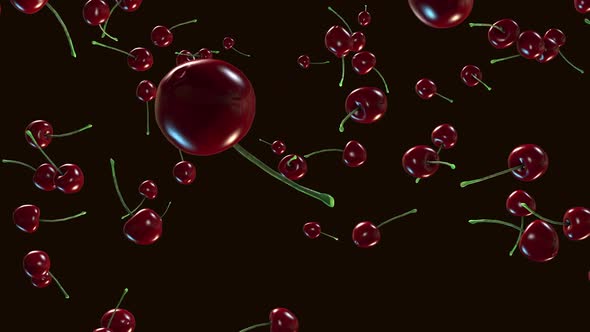 Falling Cherries, Motion Graphics | VideoHive