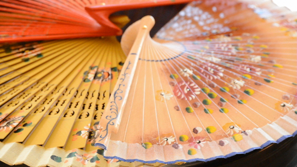 Hand Fan in Rotation, Stock Footage | VideoHive