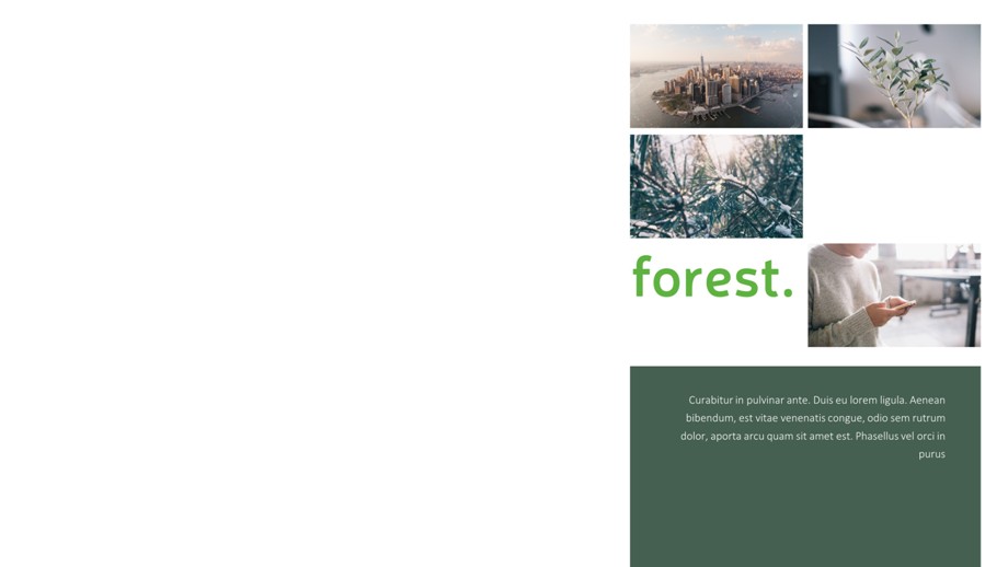 Forest PowerPoint Template, Presentation Templates | GraphicRiver