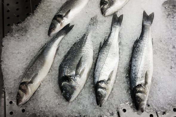 fresh fish on ice - Stock Image - Everypixel