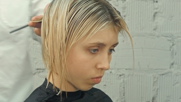 Hairdresser Trimming Hair With Scissors, Stock Footage | VideoHive