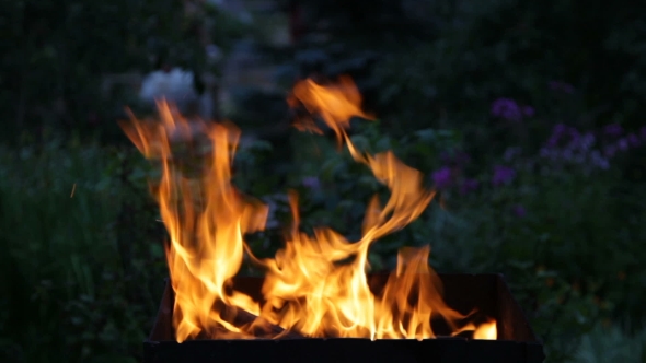 Fire Flaming In The Brazier, Stock Footage | VideoHive