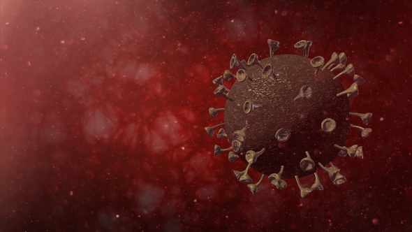 Corona Virus Inside Human Body System, Motion Graphics | VideoHive