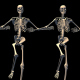 Skeletons Can Can Dance, Motion Graphics | VideoHive