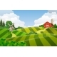 Cartoon Farm Green Seeding Field,, Vectors | GraphicRiver