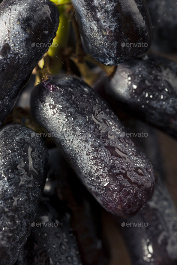 Raw Organic Long Purple Grapes Stock Photo by bhofack2 | PhotoDune