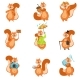 Squirrel Different Activities Set, Vectors | GraphicRiver