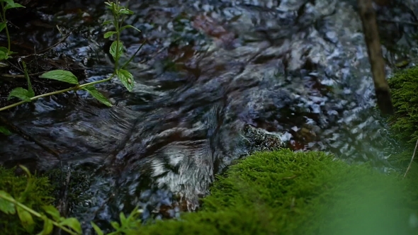 Pure Spring Water In The Creek In The Mountains, Stock Footage | VideoHive