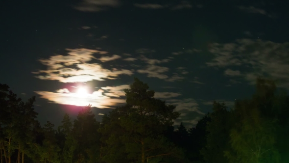 Night Moon Rising On The Horizon Over The Trees And Clouds. , Stock Footage