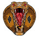 Angry King Cobra Head, Vectors | GraphicRiver