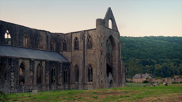 Historic Abbey Ruins In Countryside, Stock Footage | VideoHive