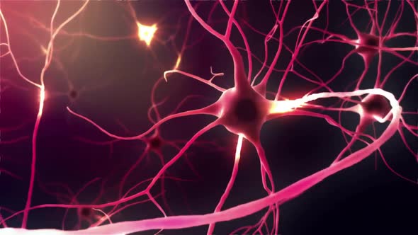 Neurons, Neural Connections, Signal Transmission, Motion Graphics ...
