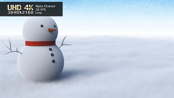 Snowman, Motion Graphics | VideoHive