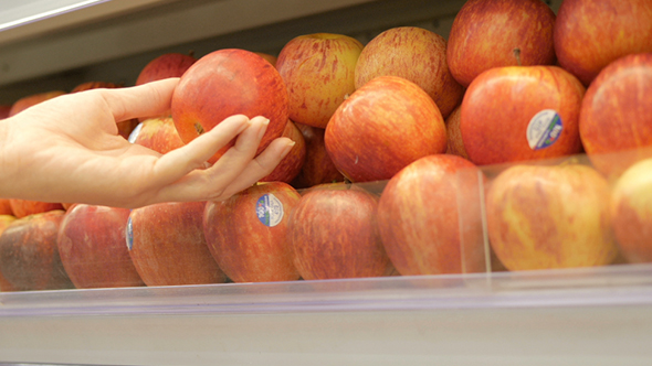 Choose Apple, Stock Footage | VideoHive