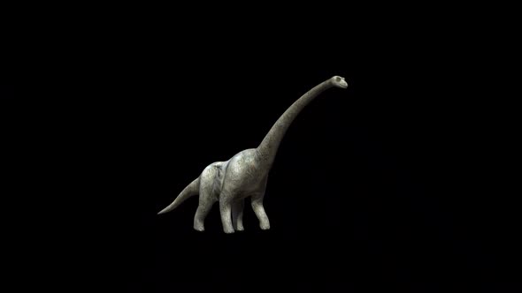 Dinosaur - Huge Brontosaurus Walk, Motion Graphics | VideoHive