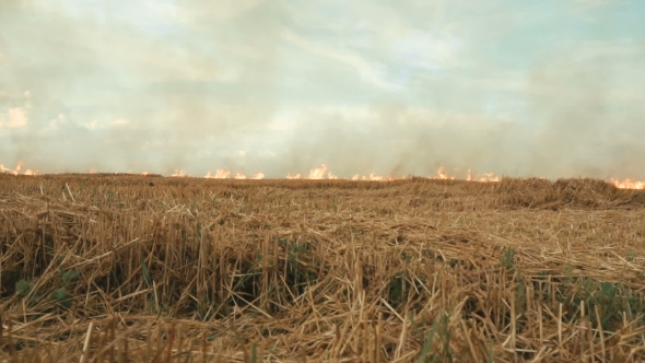 Burning Smoky Field, Stock Footage | VideoHive