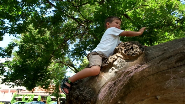 Baby Sitting On a Tree, a Little Boy Playing In a Tree, Flying Soap ...