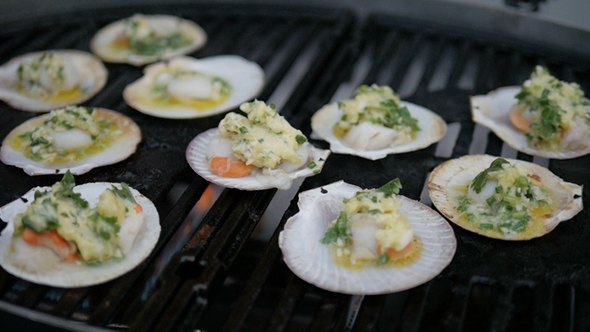 Shellfish Grill, Stock Footage | VideoHive