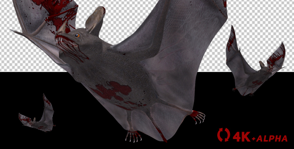 Vampire Bat in Blood - Flying Cycle - Down Angle - 4K, Motion Graphics