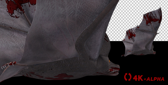 Vampire Bat in Blood - Flying Cycle - Back Angle - 4K, Motion Graphics