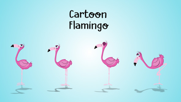 Cartoon Flamingo Animation, Motion Graphics | VideoHive