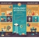 Ecology - Poster, Brochure Cover Template, Vectors | GraphicRiver