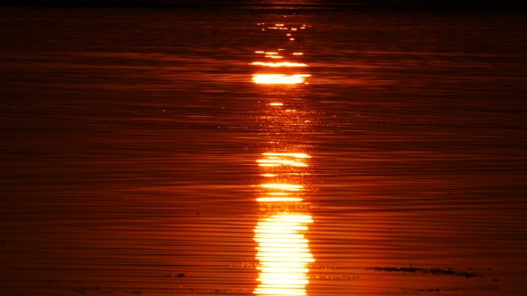 Morning Sun Reflection In The Clear Water, Stock Footage | VideoHive