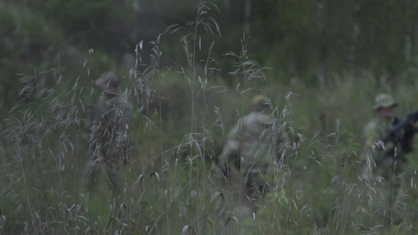 The Grass In The Field On a Background Of War. Soldiers Want The ...