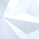 Glass Polygons Background, Motion Graphics | VideoHive