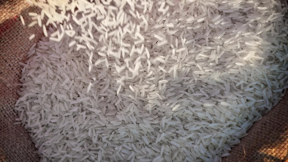 Unprocessed Rice Being Poured From a Man's Hands., Stock Footage ...