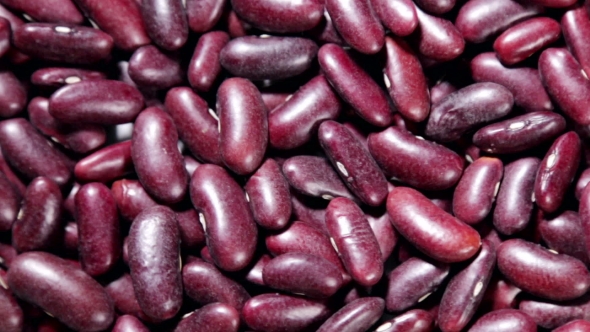 Red Bean Is a Natural Product, Stock Footage | VideoHive