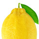 Collection of Isolated Lemon Pieces, Isolated Objects | GraphicRiver