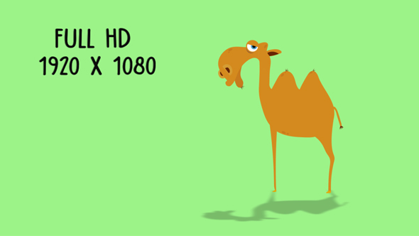 Cartoon Camel Animation, Motion Graphics | VideoHive