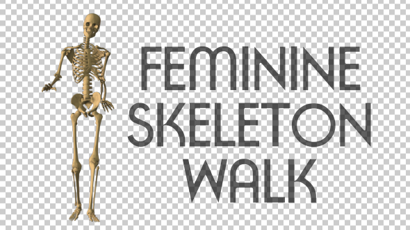 Feminine Skeleton Walk, Motion Graphics | VideoHive