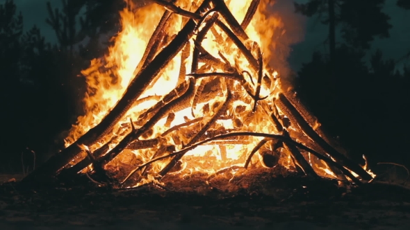 Big Campfire From Branches Burn At Night In The Forest, Stock Footage