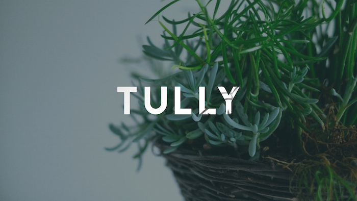 Tully - Clean Keynote Template, Presentation Templates | GraphicRiver