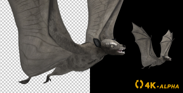 Super Bat - Flying Loop - Side Angle - 4K, Motion Graphics | VideoHive