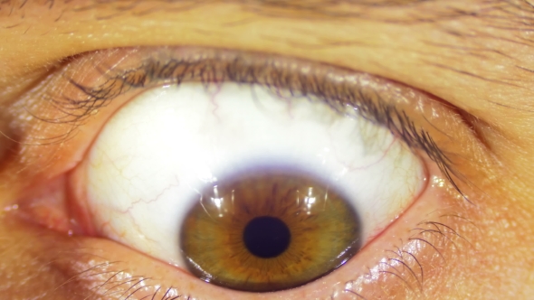 Crazy Eye Rotation, Stock Footage | VideoHive