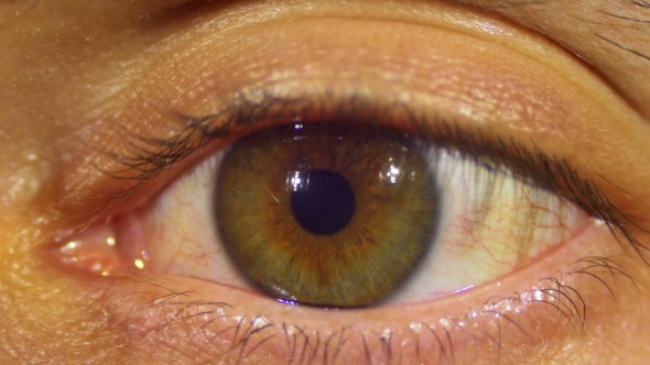 Human Eye Blinks, Stock Footage | VideoHive