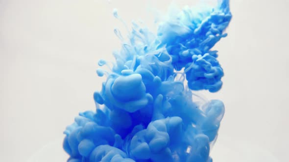Blue Ink in water.Creative Slow Motion. On a White Background, Stock ...