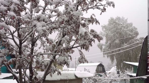 First Snow In October, Stock Footage | VideoHive