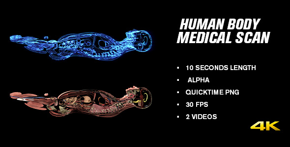 Human Body Medical Scan, Motion Graphics | VideoHive